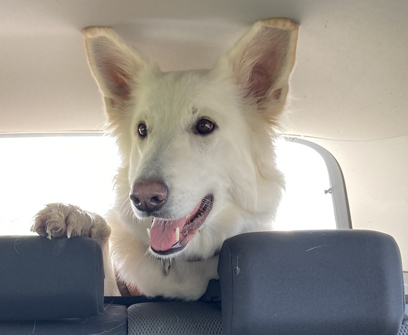 Über mich - Praxis für Psychotherapie Stephanie Engel